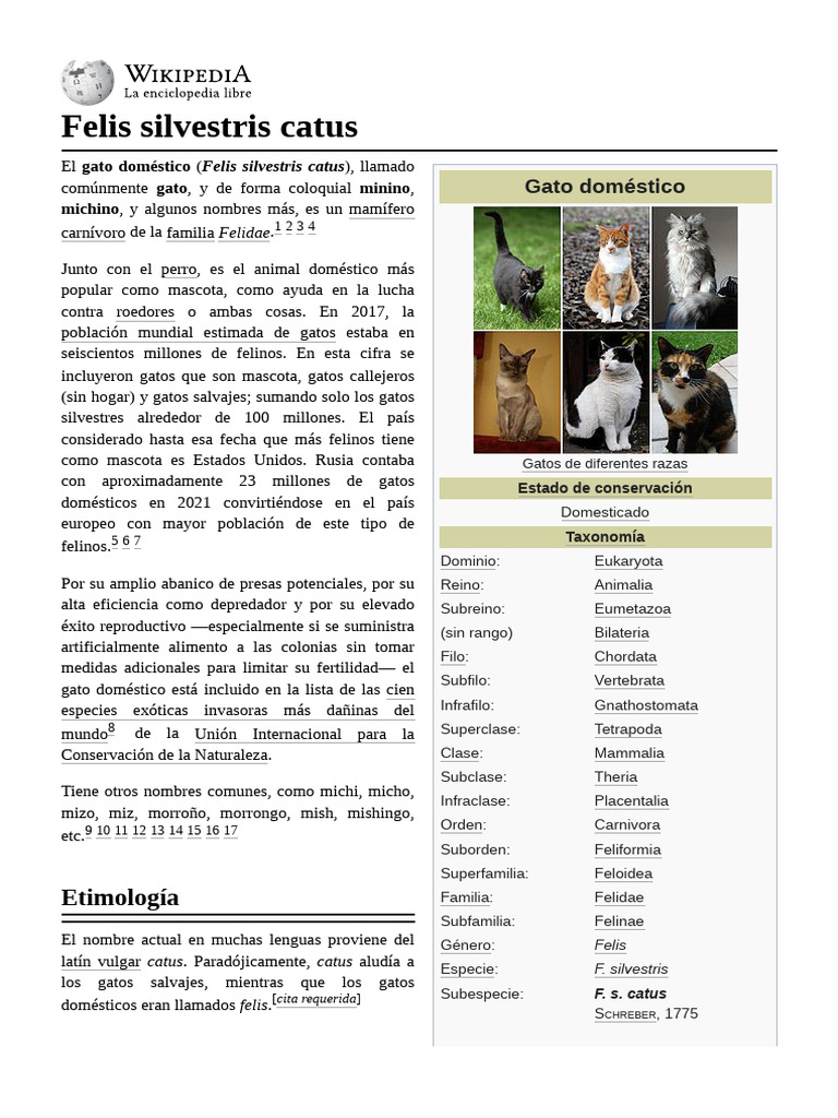 Felis Silvestris Catus | PDF | Gatos | Percepción visual
