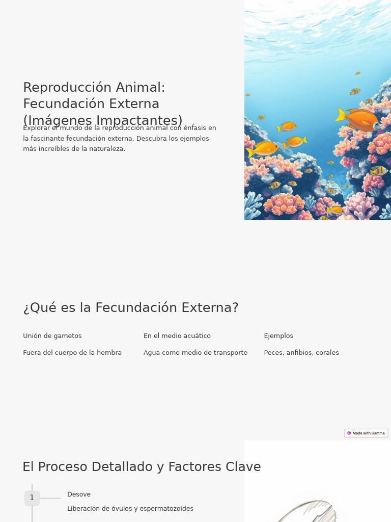 Reproduccion Animal Fecundacion Externa Imagenes | PDF