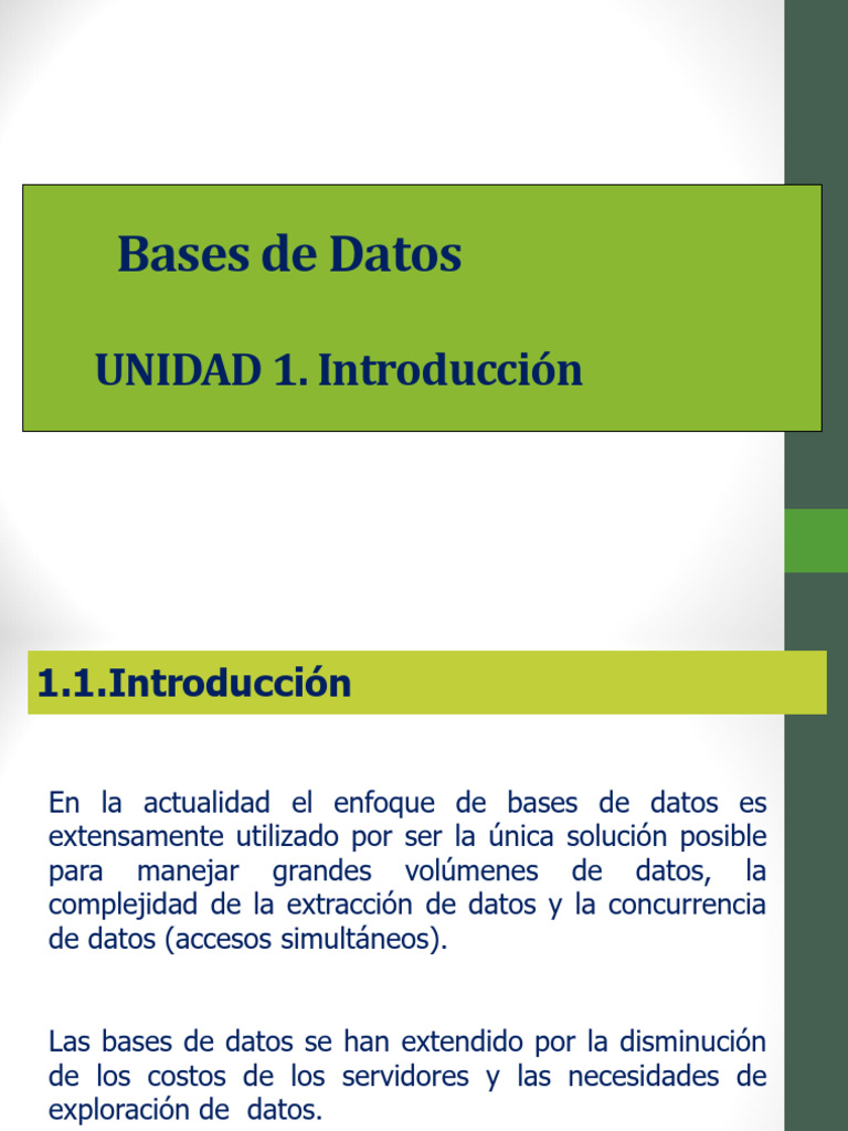 UNIDAD 1. INTRODUCCION BASE DE DATOS | PDF | Bases de datos | Ciencias de la Información