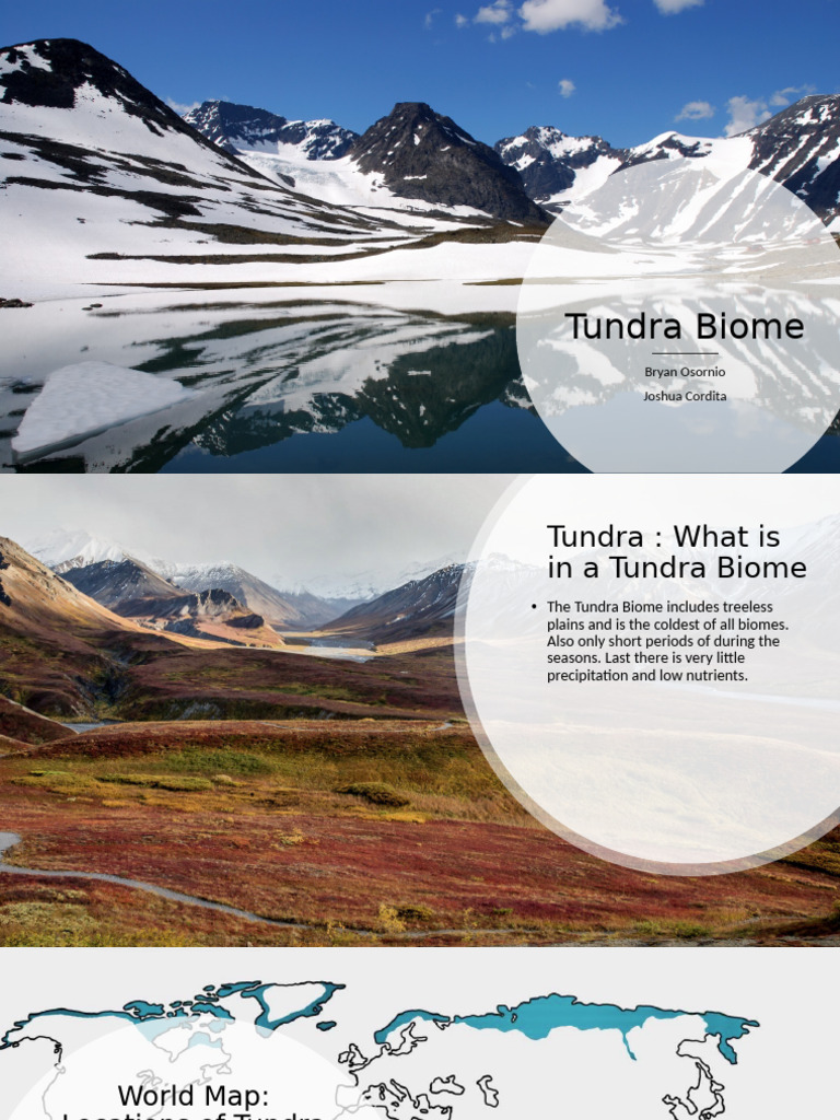 Tundra Project | PDF