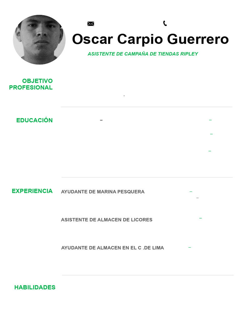 curriculum-vitae-Oscar Carpio Guerrero (1) | PDF