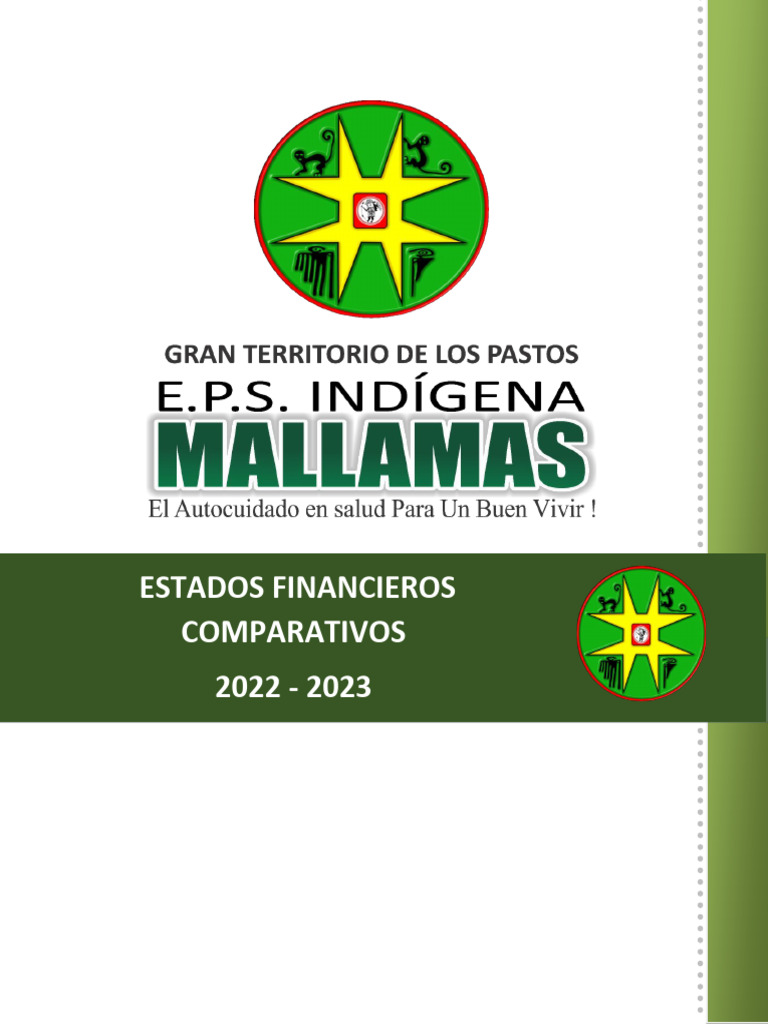 Estadosfinancieros2022 2023 | PDF | Contabilidad | Economias