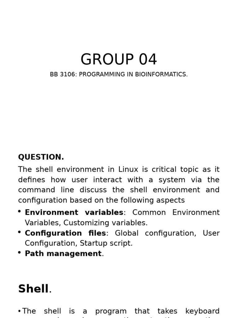GROUP 04 Programming-1 | PDF | Command Line Interface | Shell (Computing)