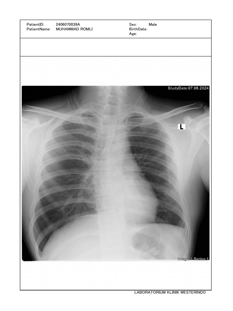 Tn. MUHAMAD ROMLI - RO, BTA | PDF