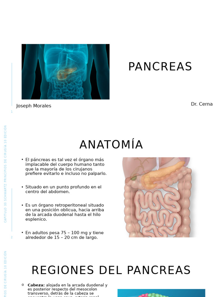 Anatomía y Patologías del Páncreas | PDF | Páncreas | Especialidades ...