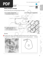 Aisc-Plate Washer For Anchor Bolt | PDF | Beam (Structure) | Buckling