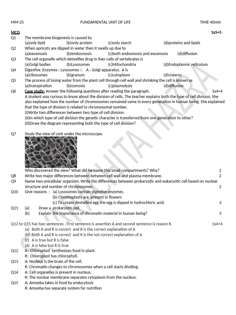 Fundamental Unit of Life-1 | PDF | Cell (Biology) | Lysosome