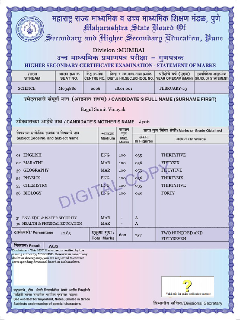 12th Board Marksheet | PDF