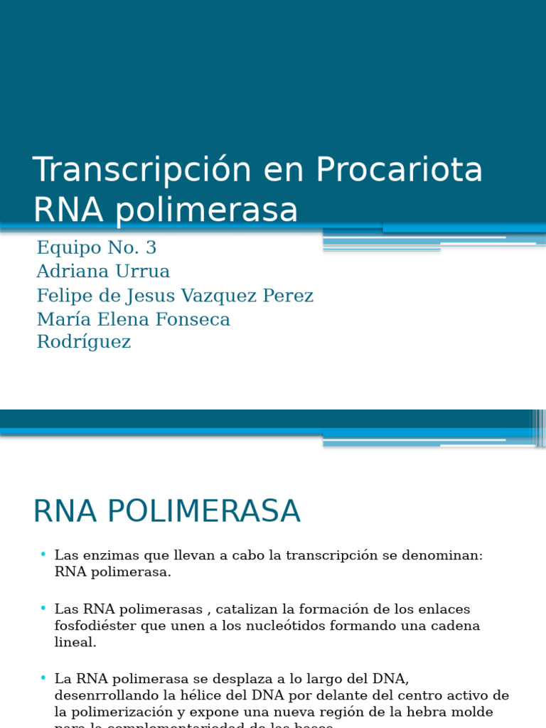 BIOMOLE | PDF | Rna | Adn