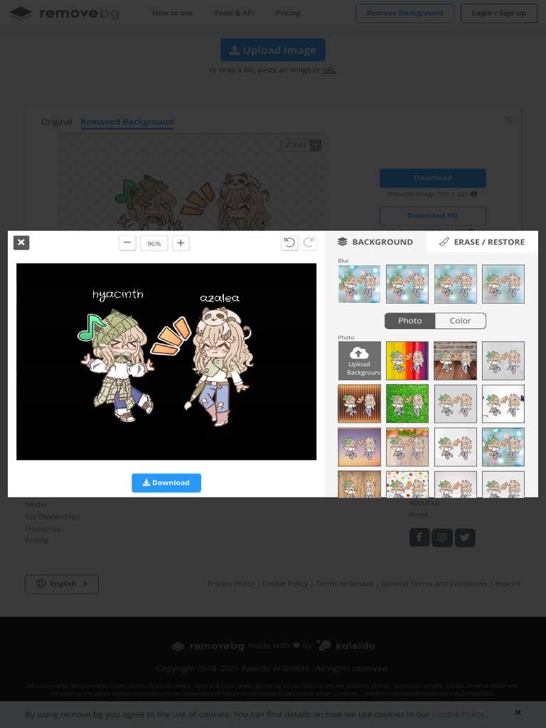 Remove Background From Image - Remove - BG | PDF
