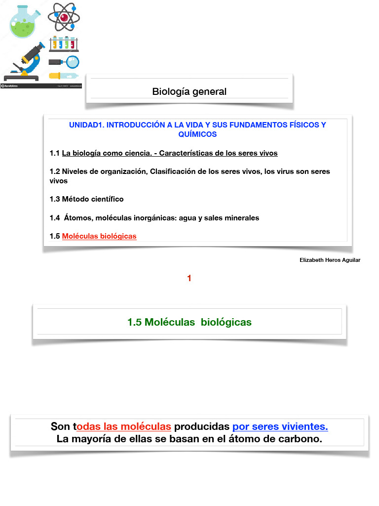 Unidad 2. Moléculas Biológicas F | PDF | Carbohidratos | Estructura ...