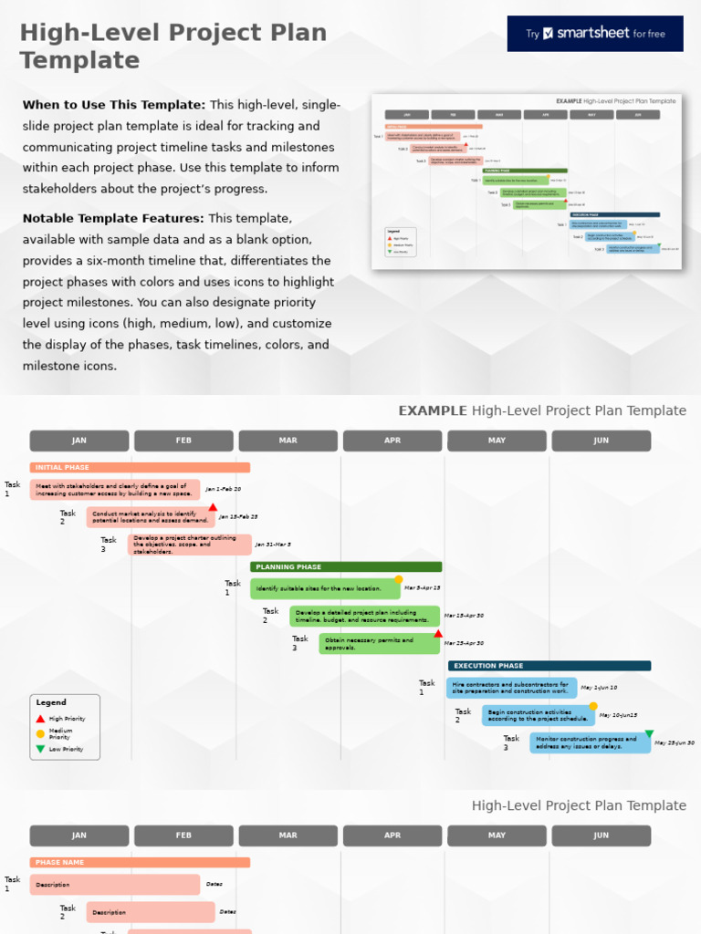 IC-High-Level-Project-Plan-Template-Example_PowerPoint_12057 | PDF