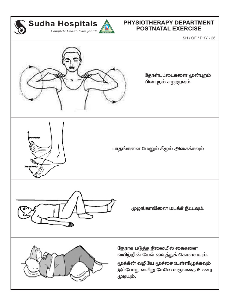 Postnatal Exercise Guide | PDF