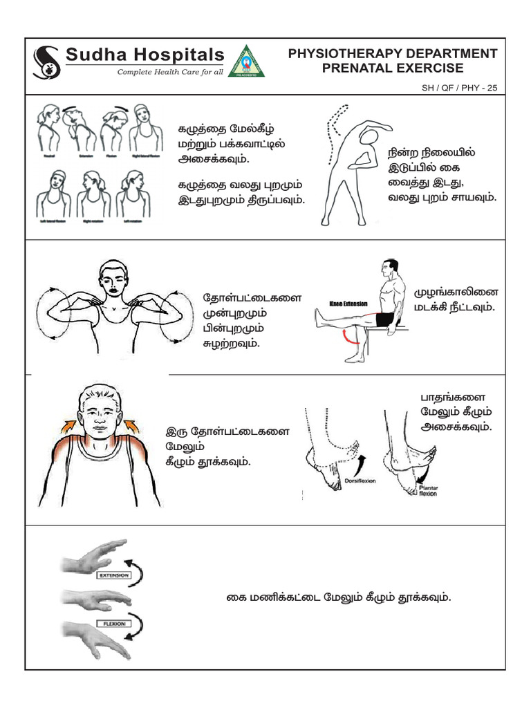 Prenatal Exercise Chart | PDF