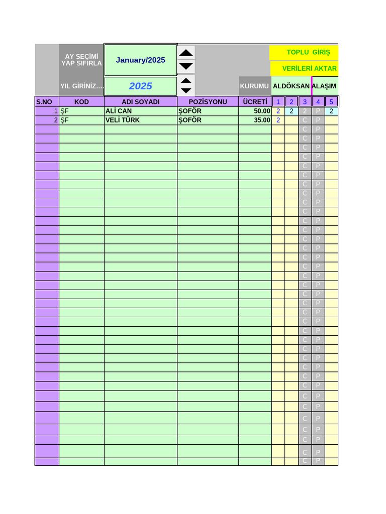 2025 Driver Salary and Attendance Report | PDF