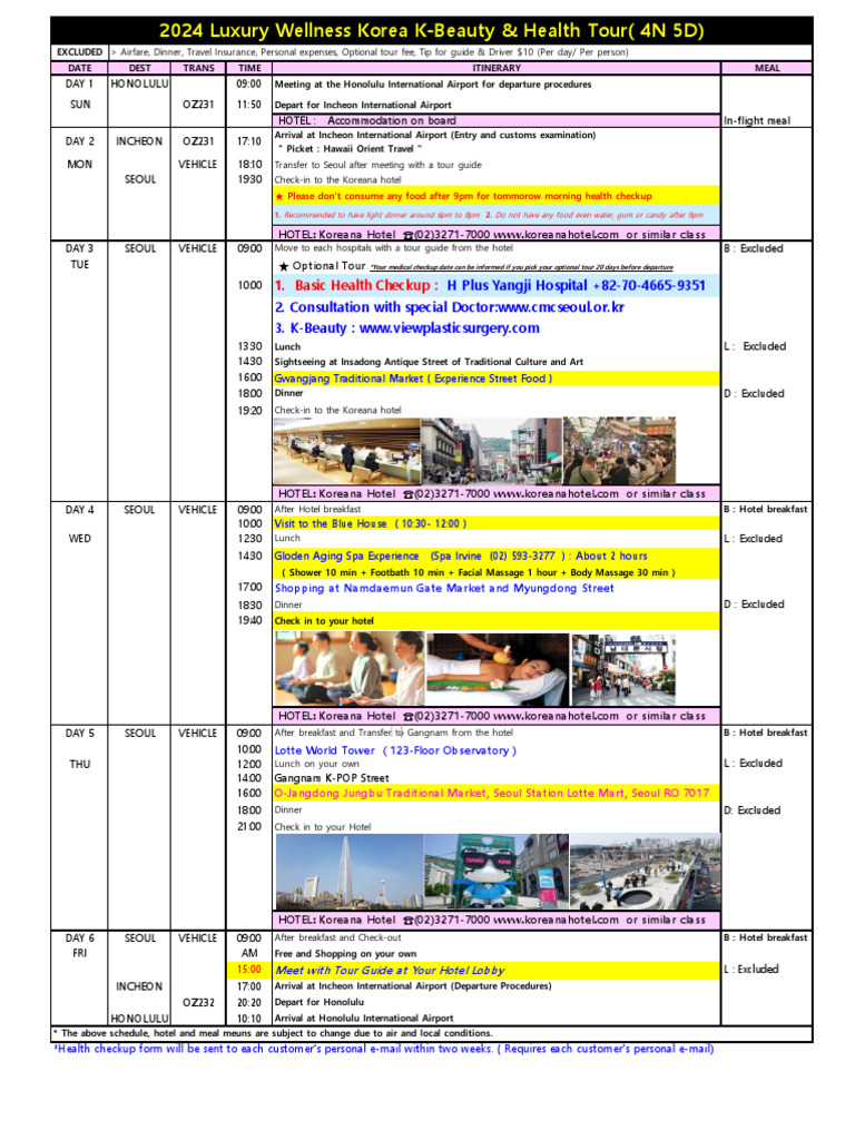 Luxury Wellness Medical Korea Tour | PDF | Meal | Cuisine