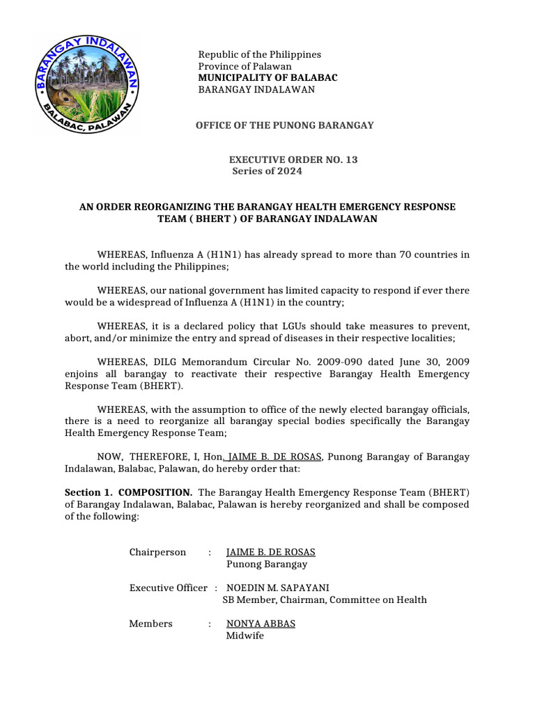 Reorganizing BHERT in Barangay Indalawan | PDF | Influenza | Medicine