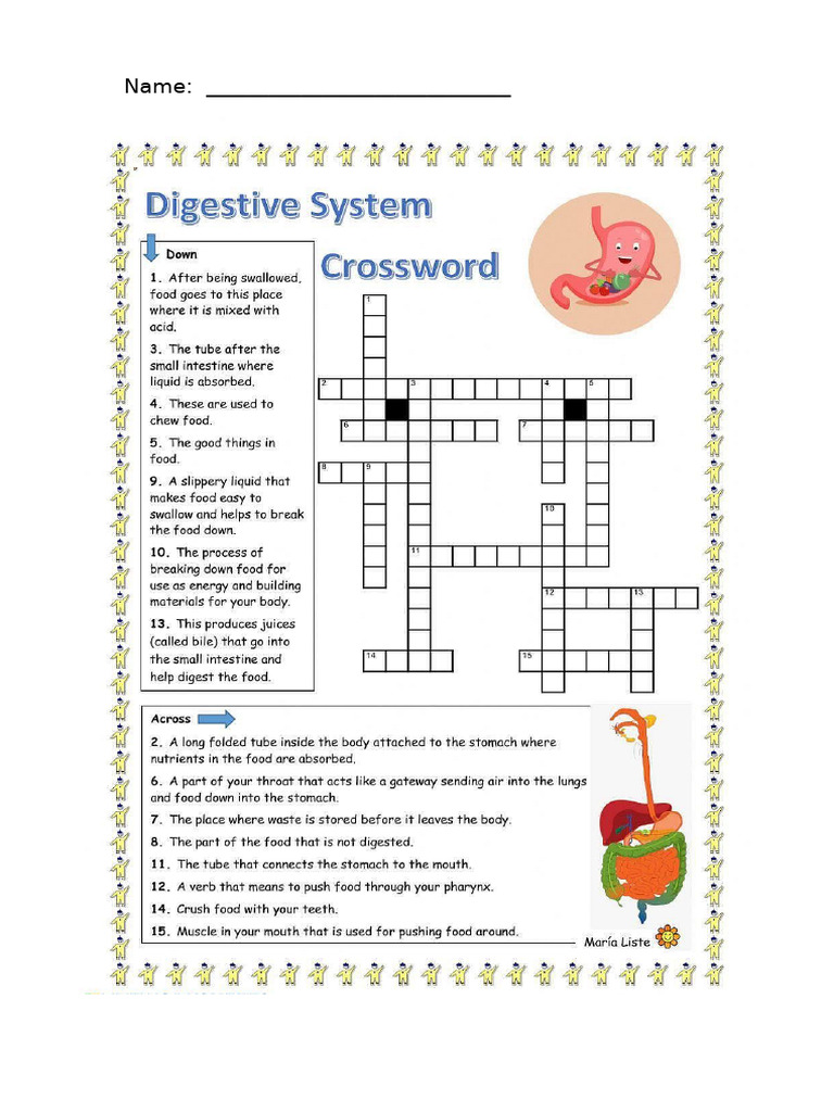 Digestion Crossword | PDF