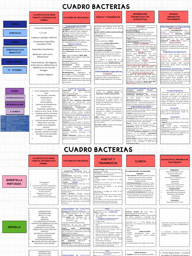 Escarlatina y Líneas de Pastia | PDF | Staphylococcus Aureus | Inmunología