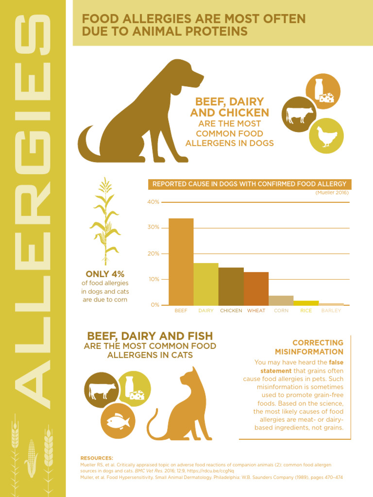 Hills Allergies Food Causes | PDF | Food Allergy | Allergy