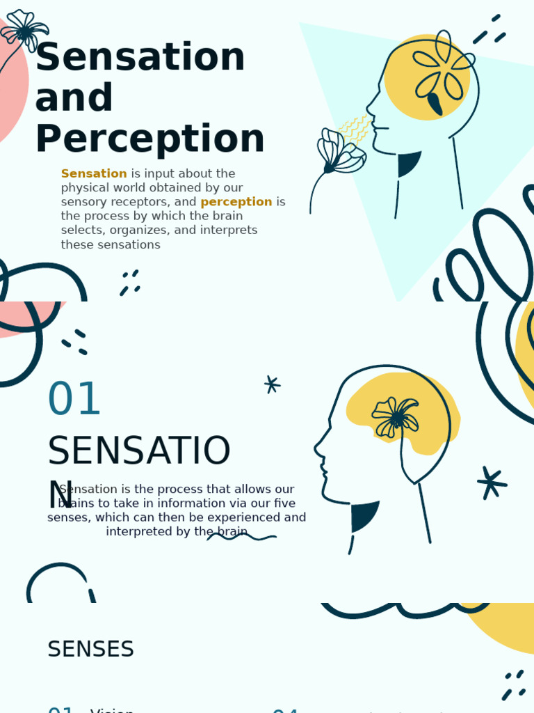 Understanding Sensation and Perception | PDF | Perception | Senses