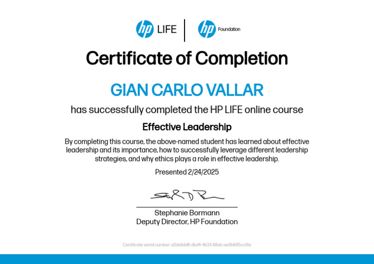 HP - Effective Leadership | PDF