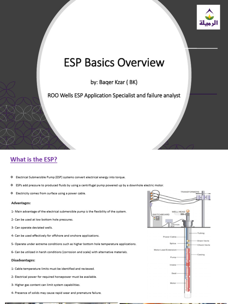 ESP Pump Advantages and Principles | PDF | Pump | Electric Motor