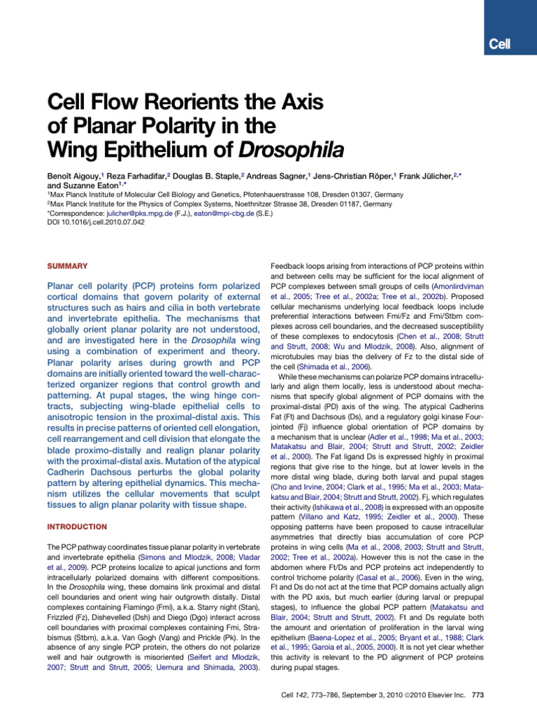 Cell Flow Reorients The Axis of Planar Polarity in | PDF | Cell Biology