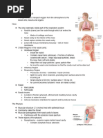 Respiratory System Lab Guide | PDF | Respiratory Tract | Respiratory System