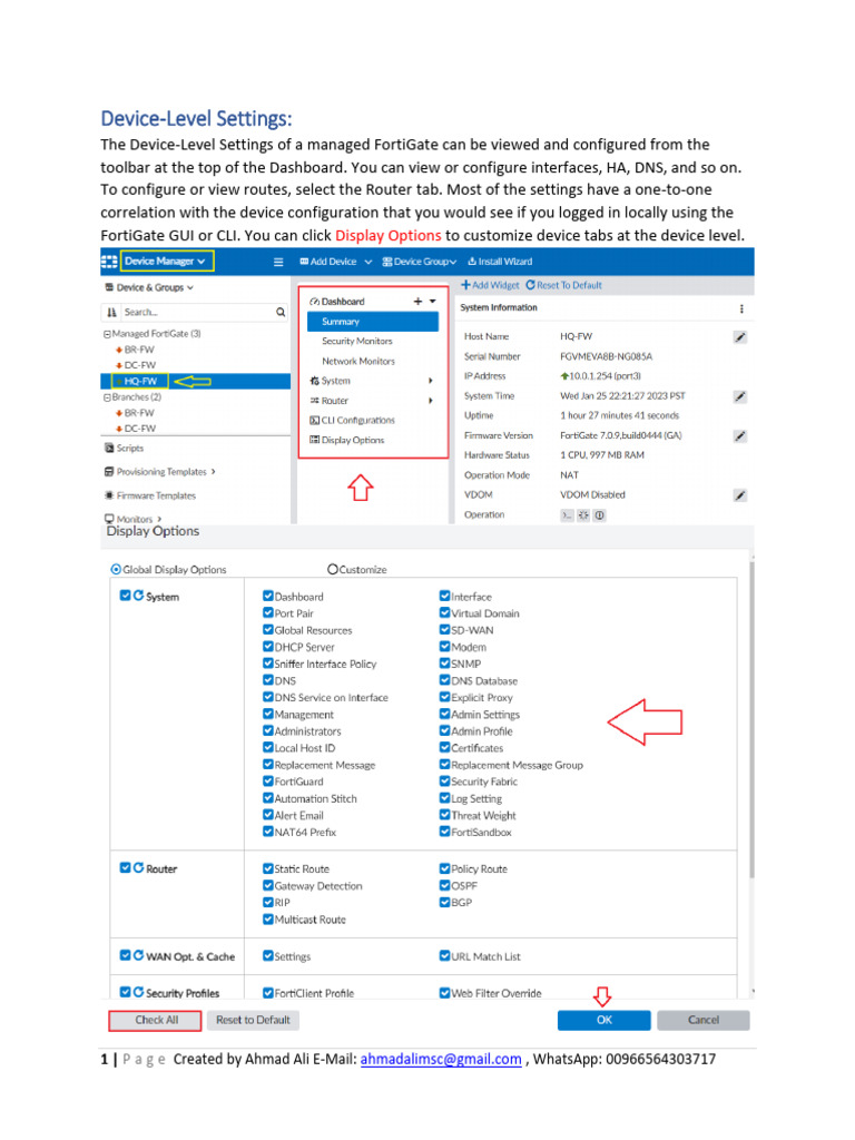 FortiGate Device Settings Guide | PDF