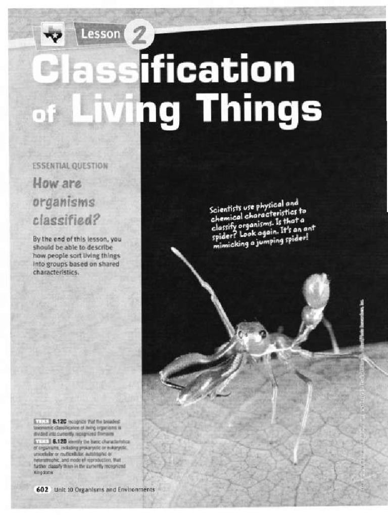 Unit 10 Lesson 2 Classification of Living Things | PDF