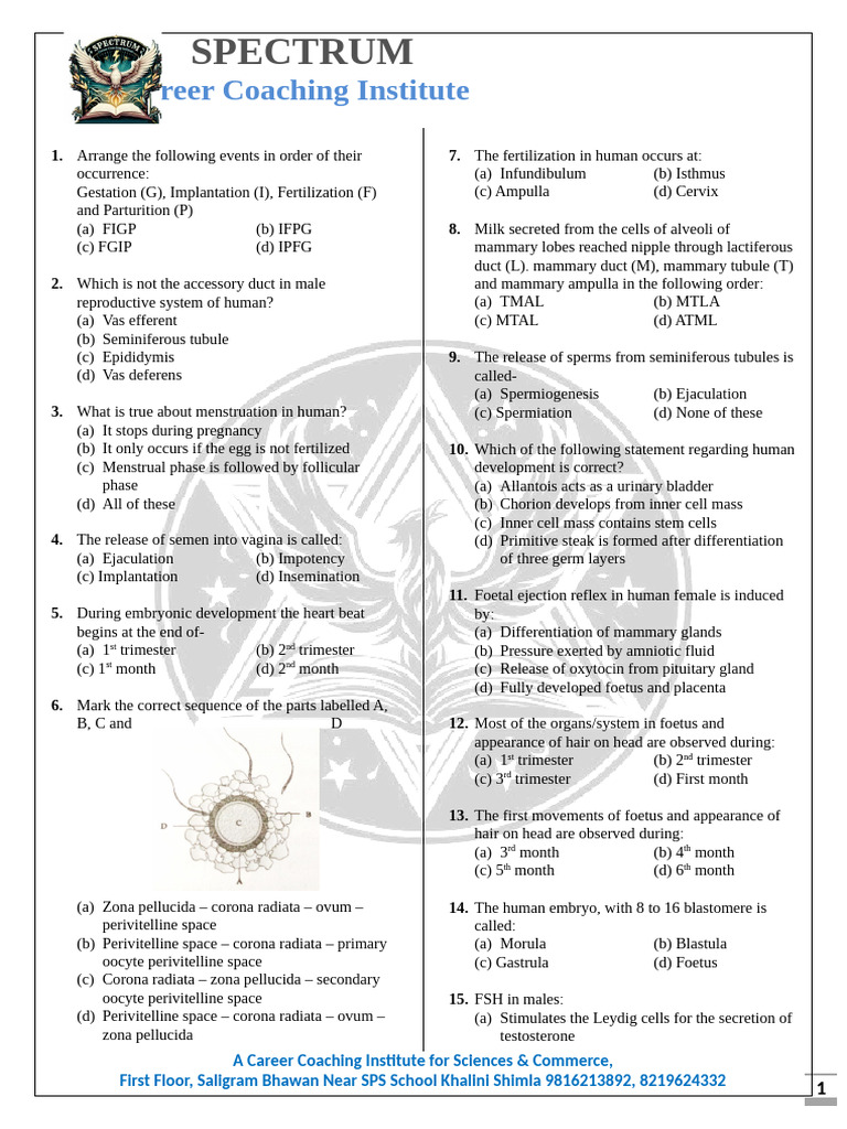 Human Reproductive System Quiz | PDF | Menstrual Cycle | Testicle