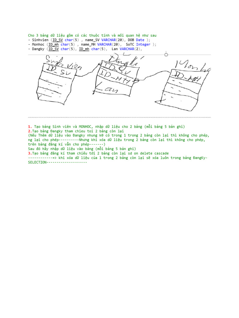 Bai th1 - 1735962193366 | PDF