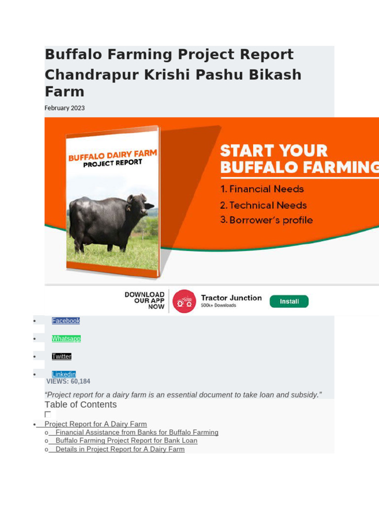 Buffalo Farming Project Report For A Dairy Farm | PDF | Dairy | Dairy ...