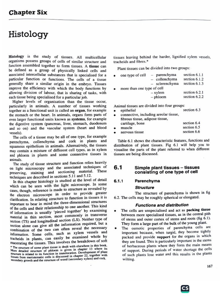 Bs Histology | PDF