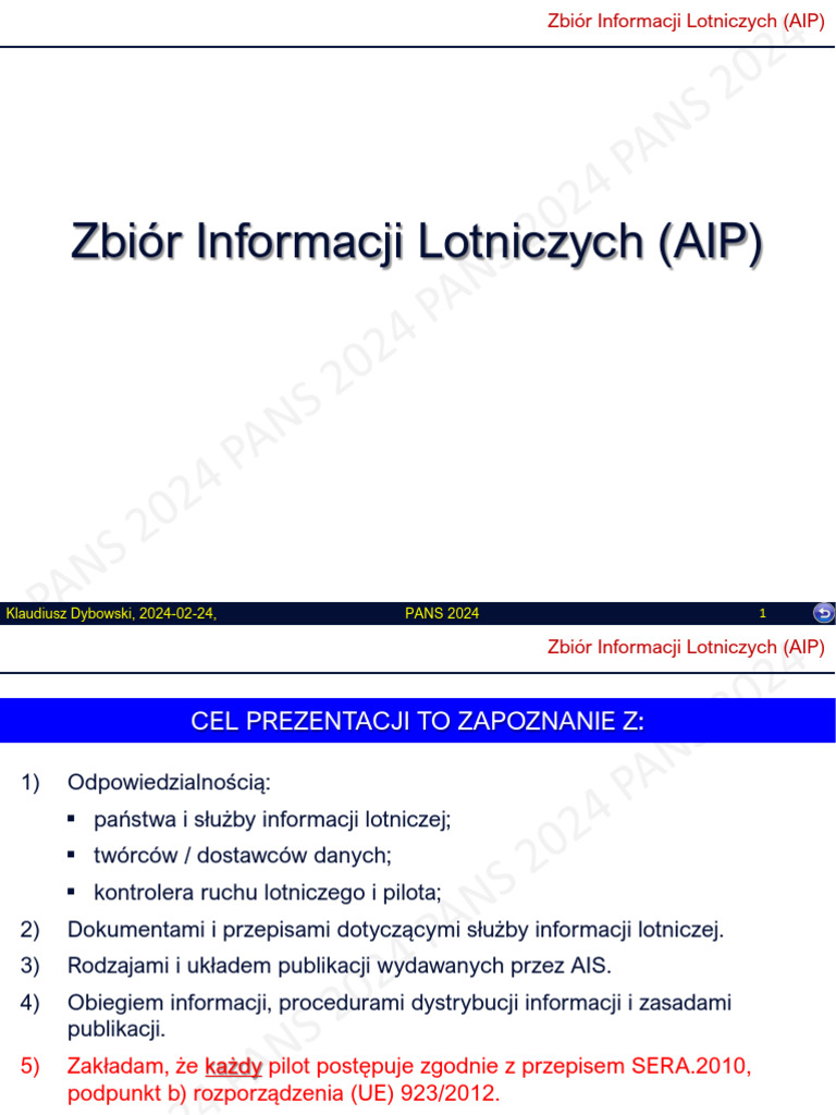 Aip 2024 Pans | PDF