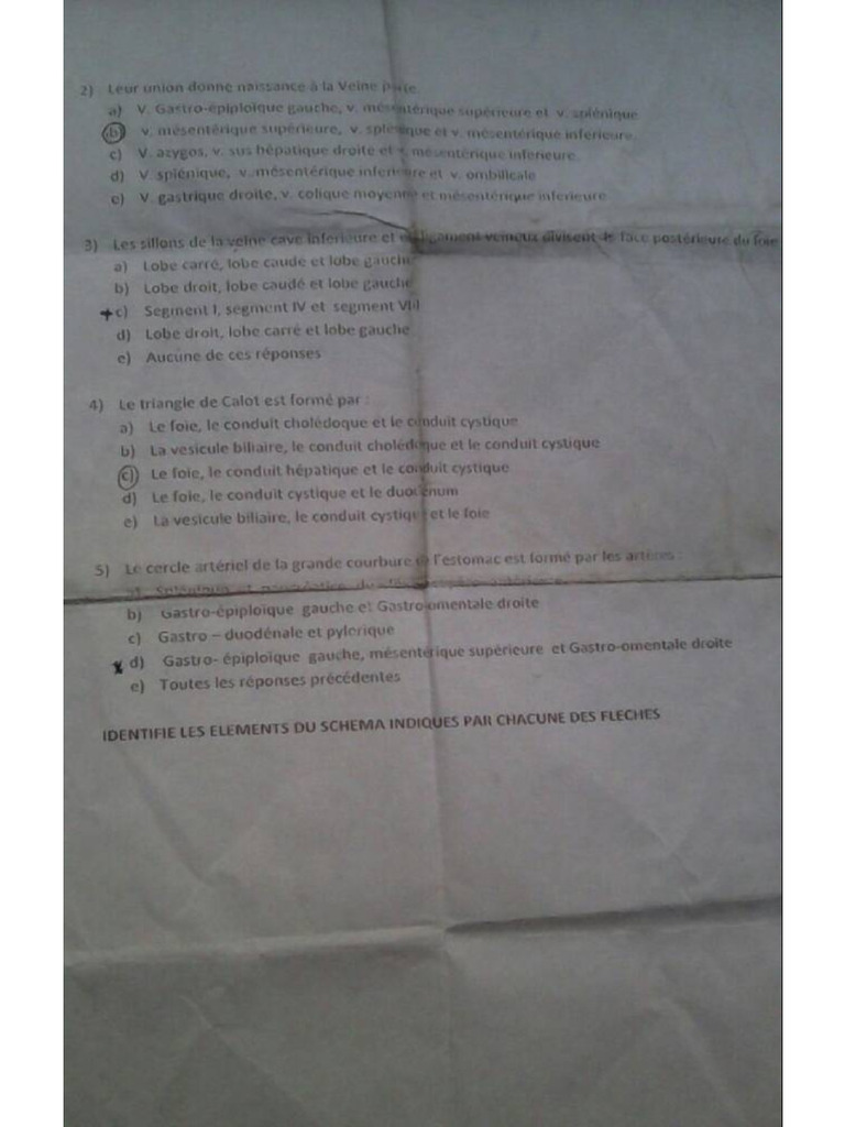 Tchala Viscères | PDF