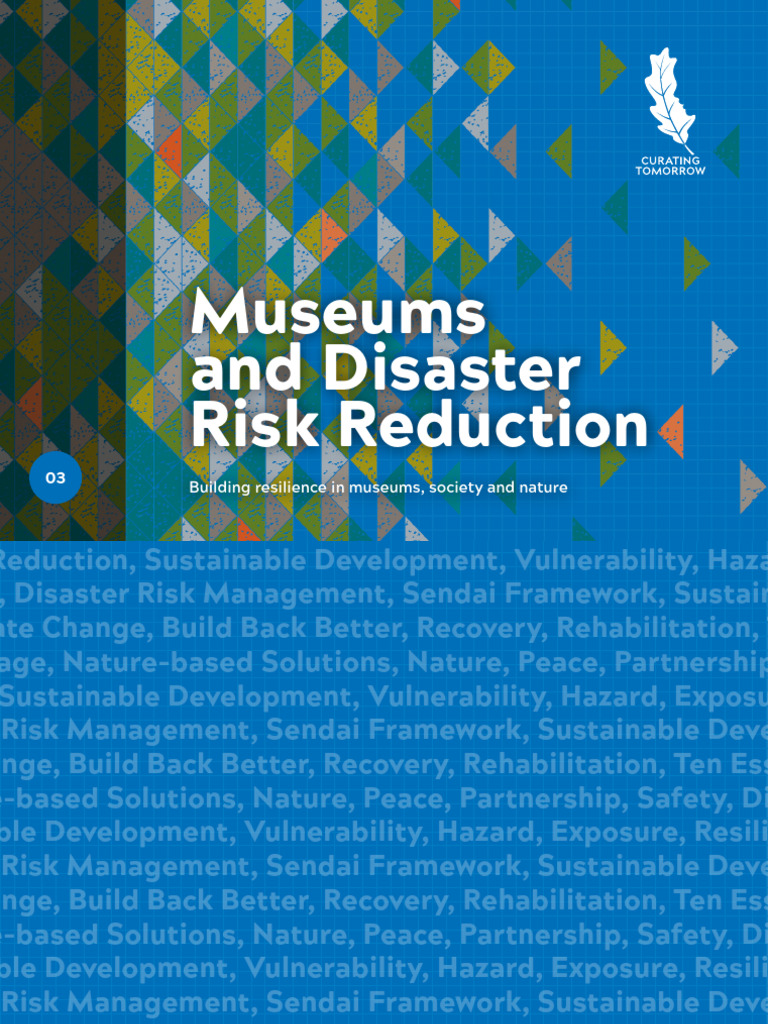 Museums and Disaster Risk Reduction 2020 | PDF | Disaster Risk ...