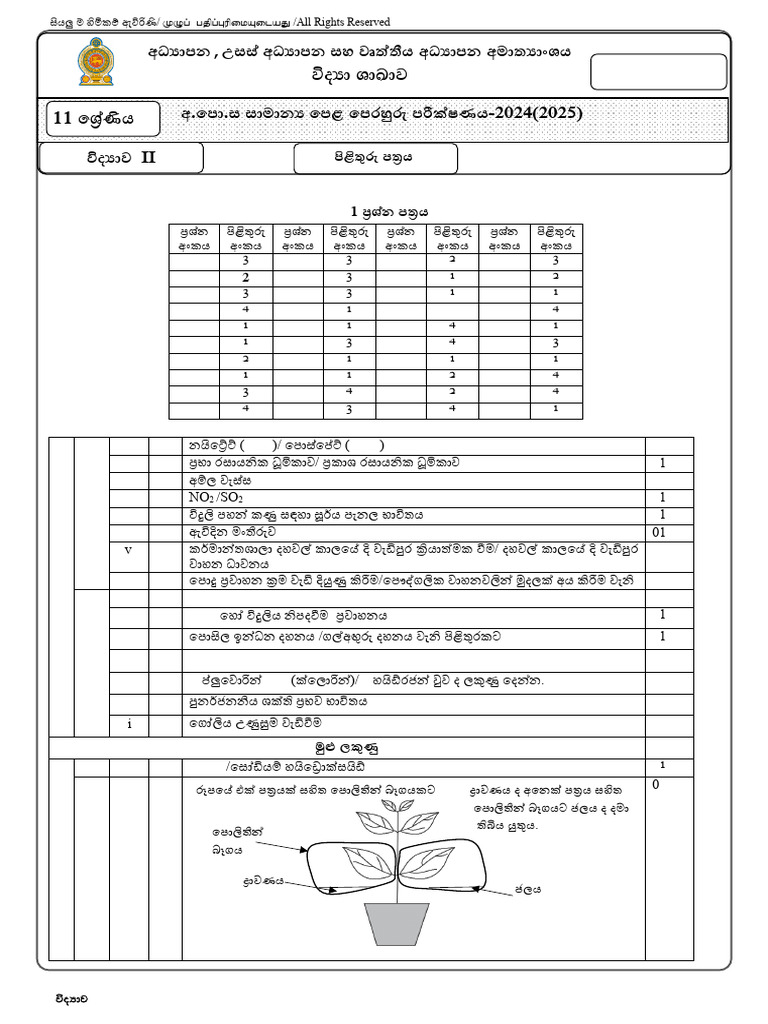 MOE - 2024 (2025) Science Paper Answers | PDF