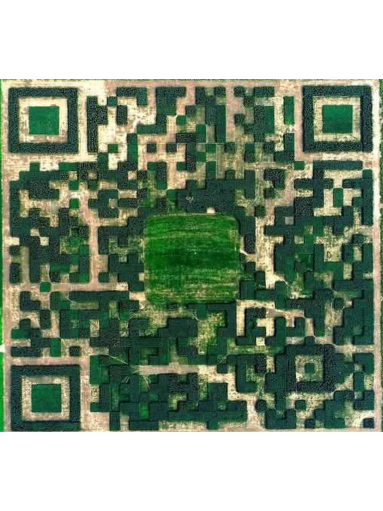 Screenshot_20250228-140816 | PDF