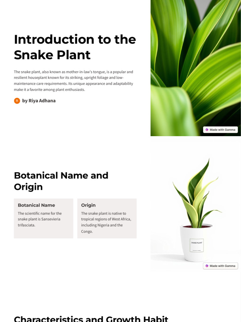 Introduction To The Snake Plant | PDF | Pest (Organism) | Plants