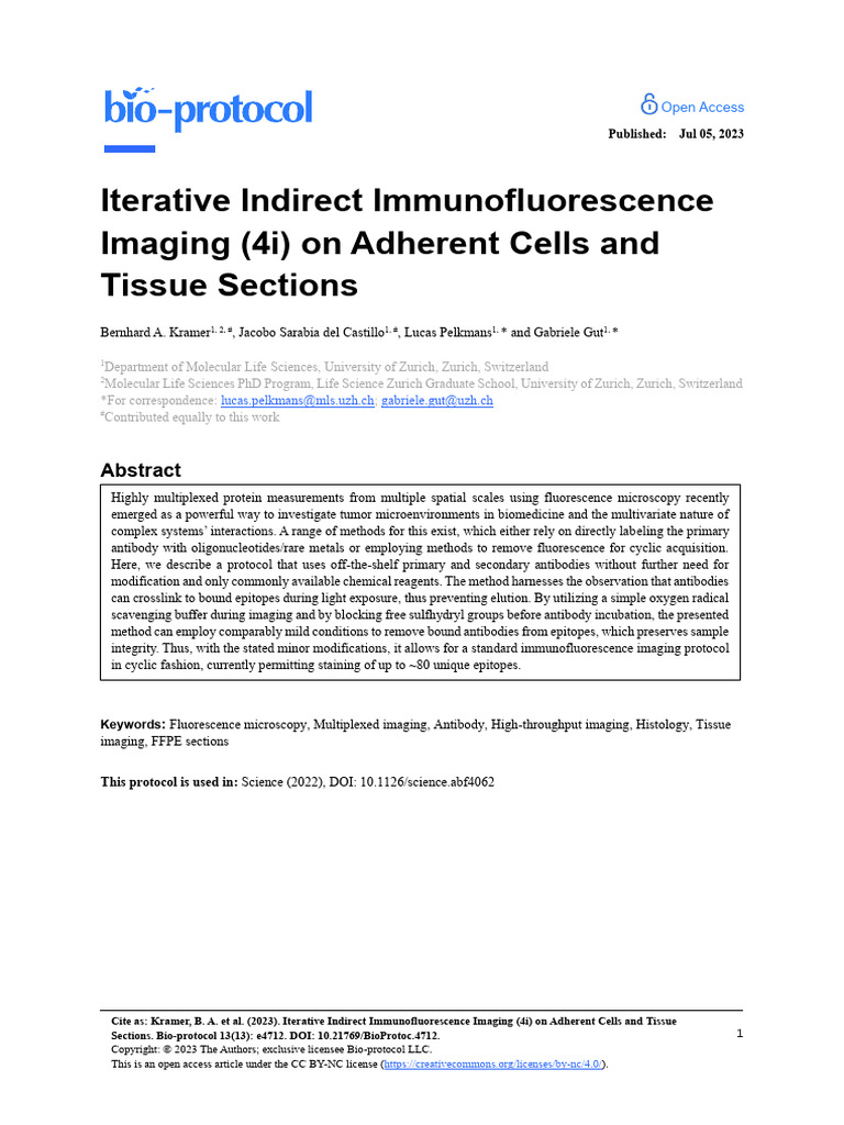Iterative Indirect Immunofluorescence Imaging (4i) On Adherent Cells and Tissue Sections | PDF ...