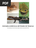 Rana Nodriza Niputidea (Allobates Niputidea) NaturaLista Colombia | PDF