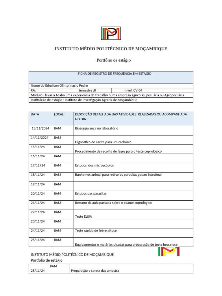 Exemplo de Portfólio 2024 | PDF