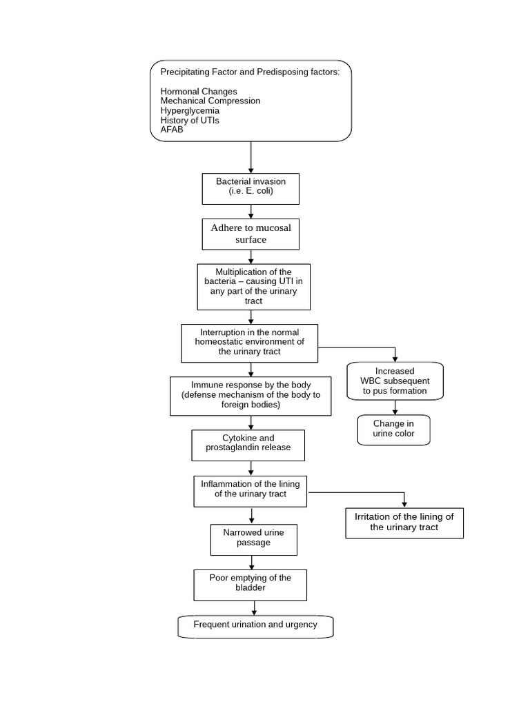 Pathophysiology-of-Urinary-Tract-Infection | PDF