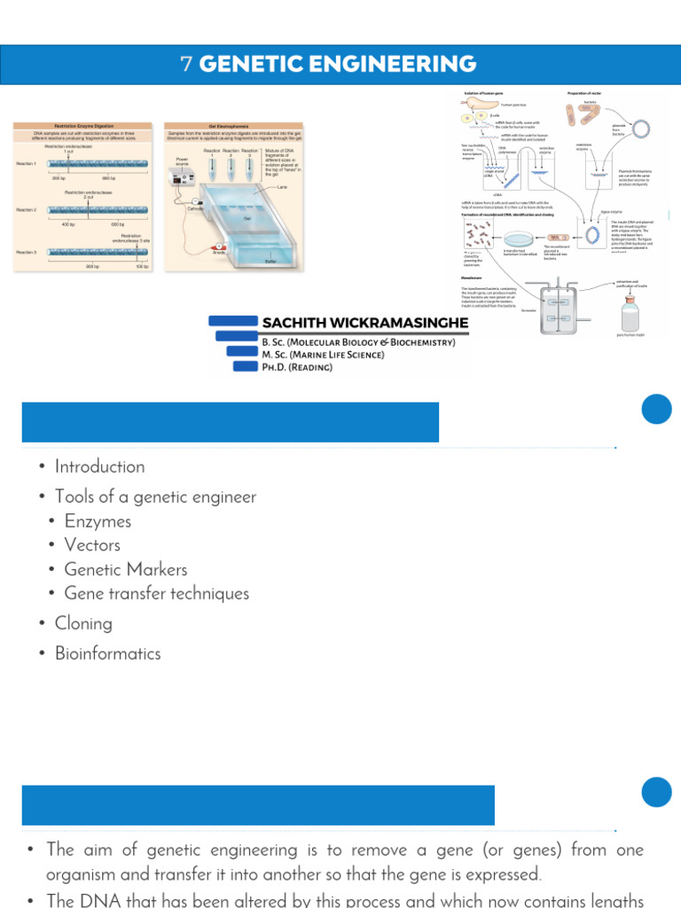 7_Genetic Engineering | PDF | Plasmid | Molecular Cloning