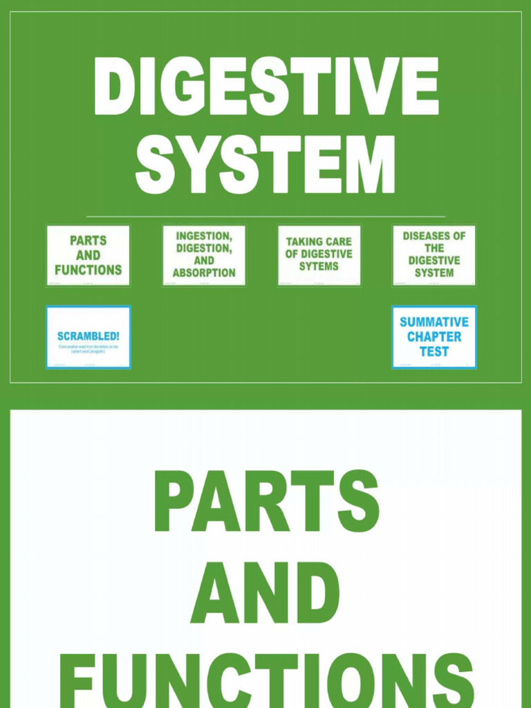 Parts and Functions of Digestive System | PDF