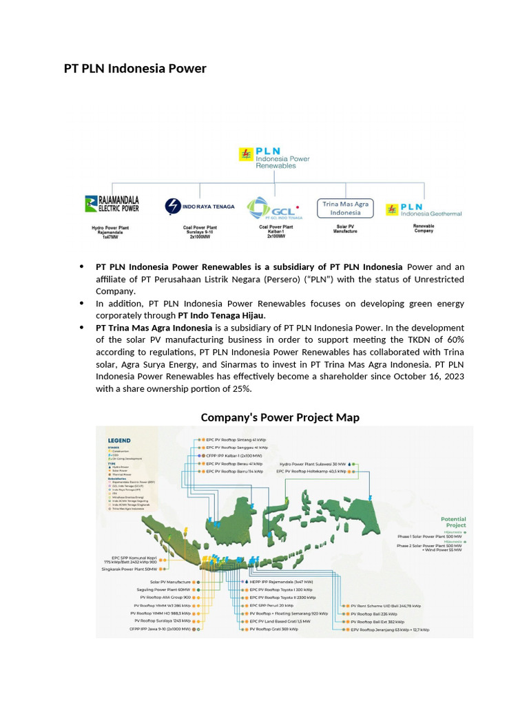 PT PLN Indonesia Power | PDF | Renewable Energy | Renewable Resources