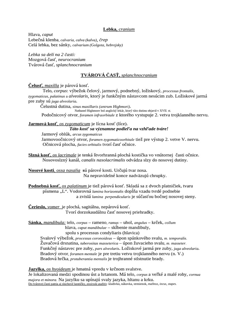 8 - Lebka | PDF