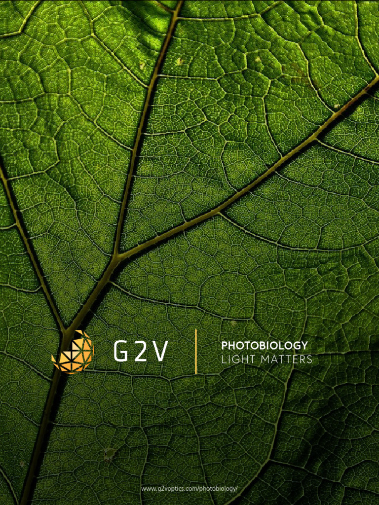 Understanding Photobiology in Plants | PDF | Photosynthesis | Chlorophyll